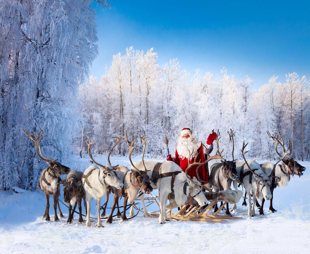 Jeevoka 7 Reindeer Facts That Will Probably Surprise You Jeevoka 7 Reindeer Facts That Will Probably Surprise You